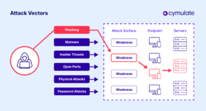 What Is an Attack Vector in Cybersecurity?