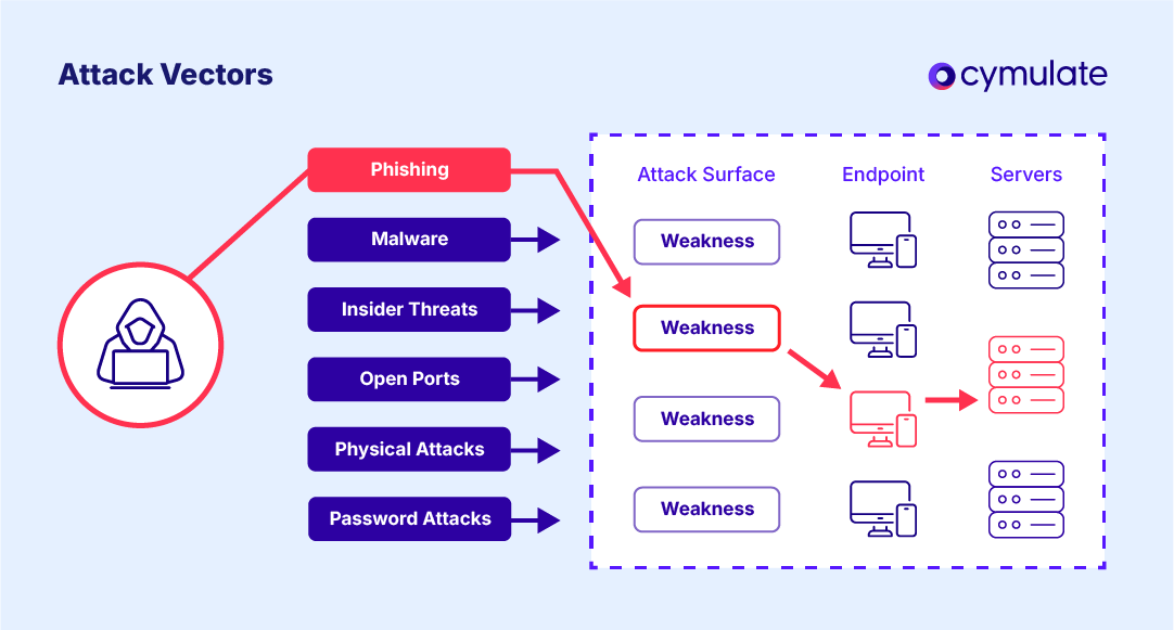 What Is an Attack Vector in Cybersecurity?